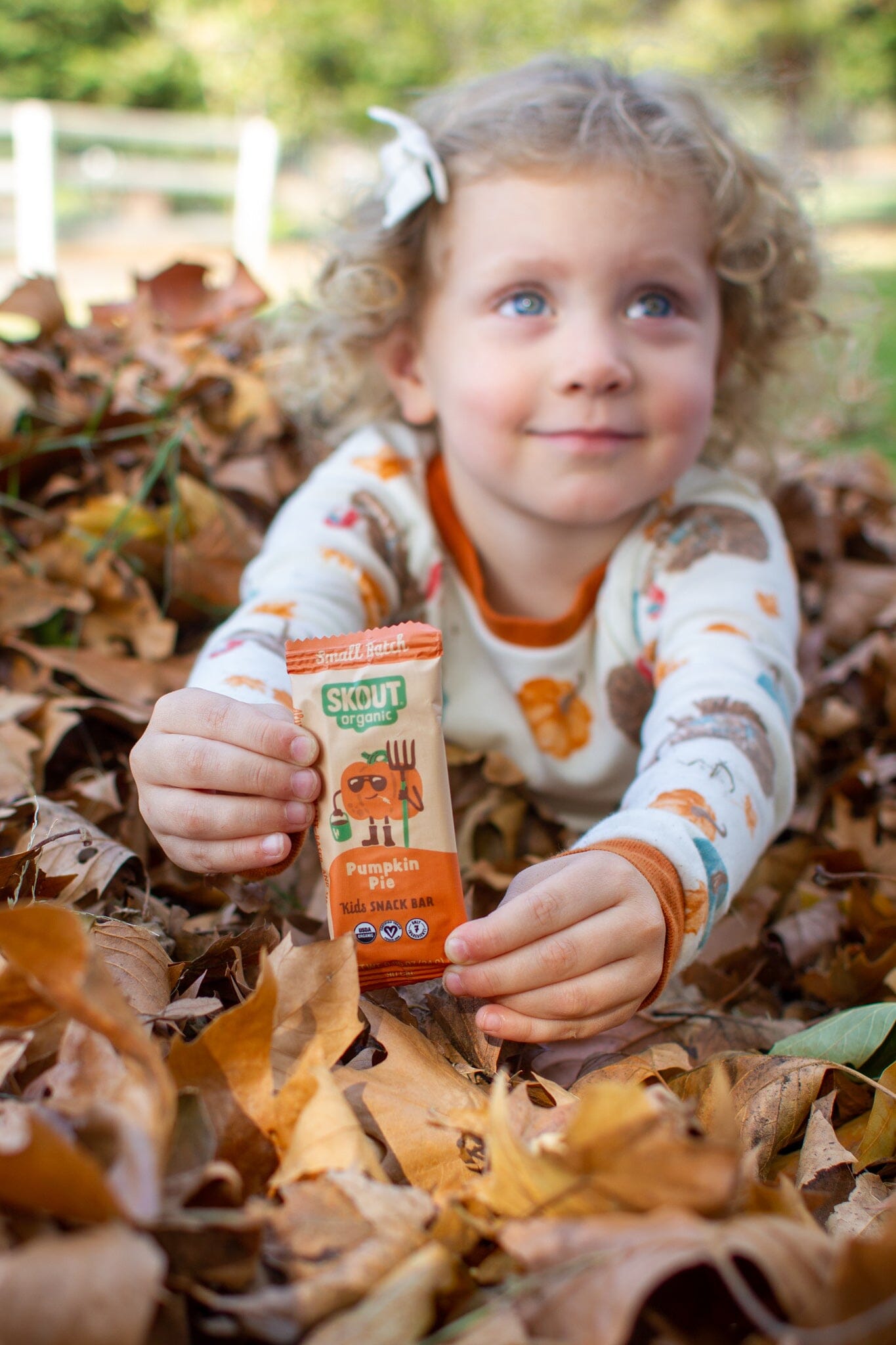 Better-for-You Pumpkin Spice Snacks for Fall 2024 – Skout Organic
