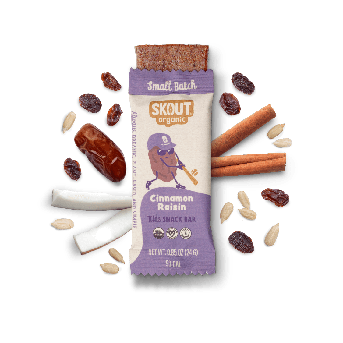 Skout Organic Kids Snack Bar | Cinnamon Raisin