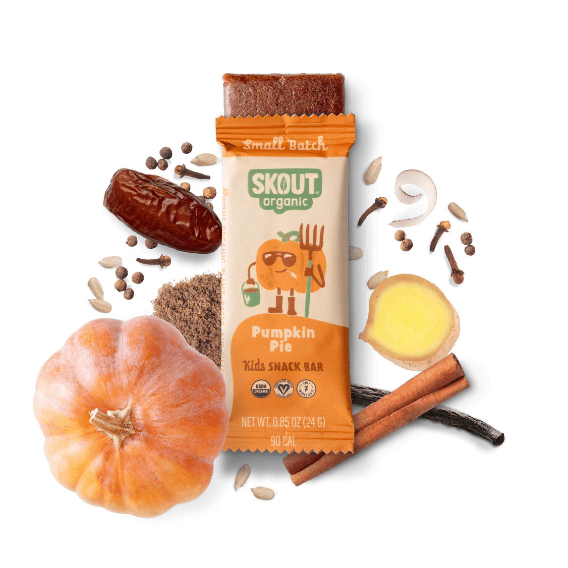Skout Organic Kids Snack Bar | Pumpkin Pie
